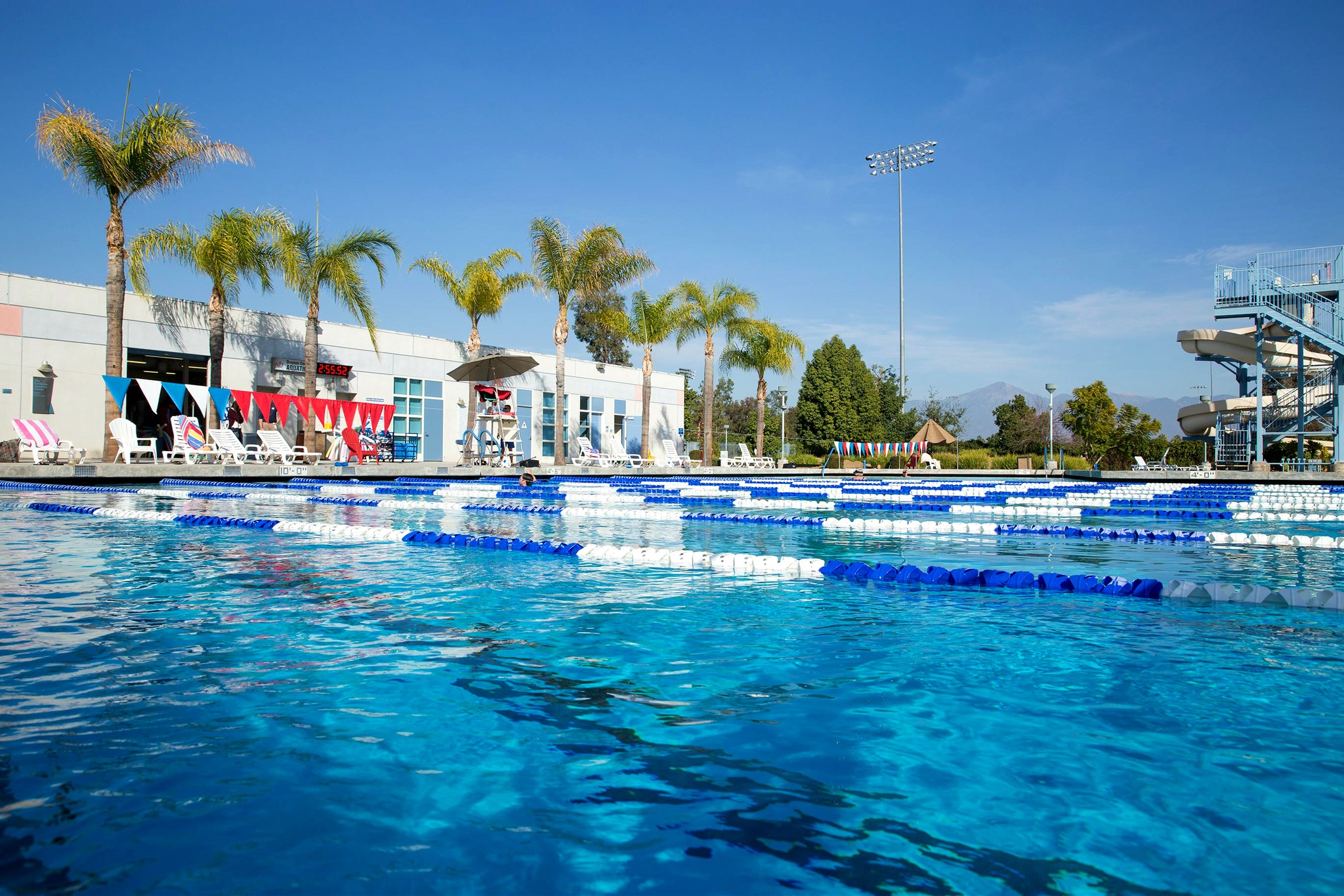 Home – Flying Fish Swim Club